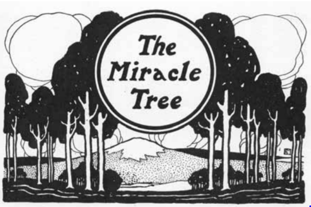 Provocative Eucalyptus | Grey Hayes